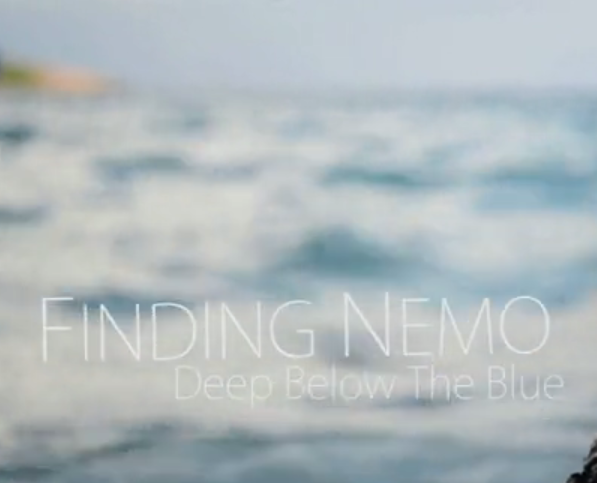 Finding Nemo – Pushing.Beyond.Pixels